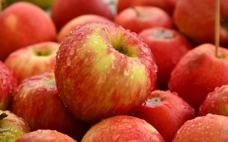 15 Best Foods That Help Stay Awake Naturally