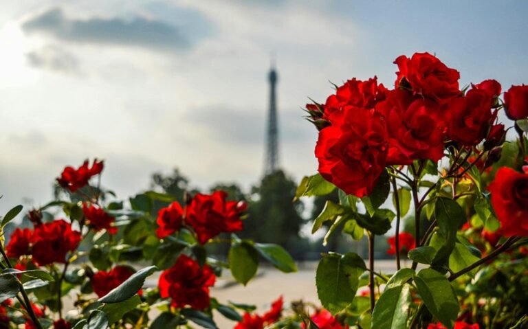 167 Words That Rhyme with Red for Songs and Poems
